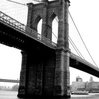 Recently Released/Updated ADM’s – Brooklyn Developmental Disabilities ...
